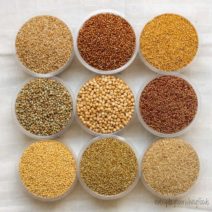 Xporia Overseas - Global Import Export Solutions